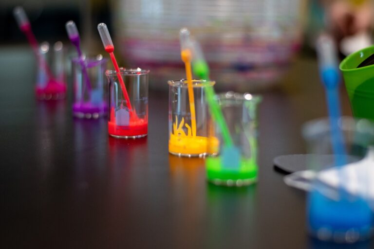 Life in Living Color Camp (Full Day) - Cade Museum for Creativity ...